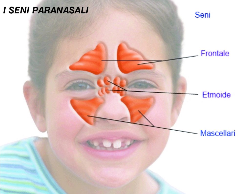 L’infiammazione del naso: diagnosi, cura e prevenzione - SALUTEPERTUTTI.IT